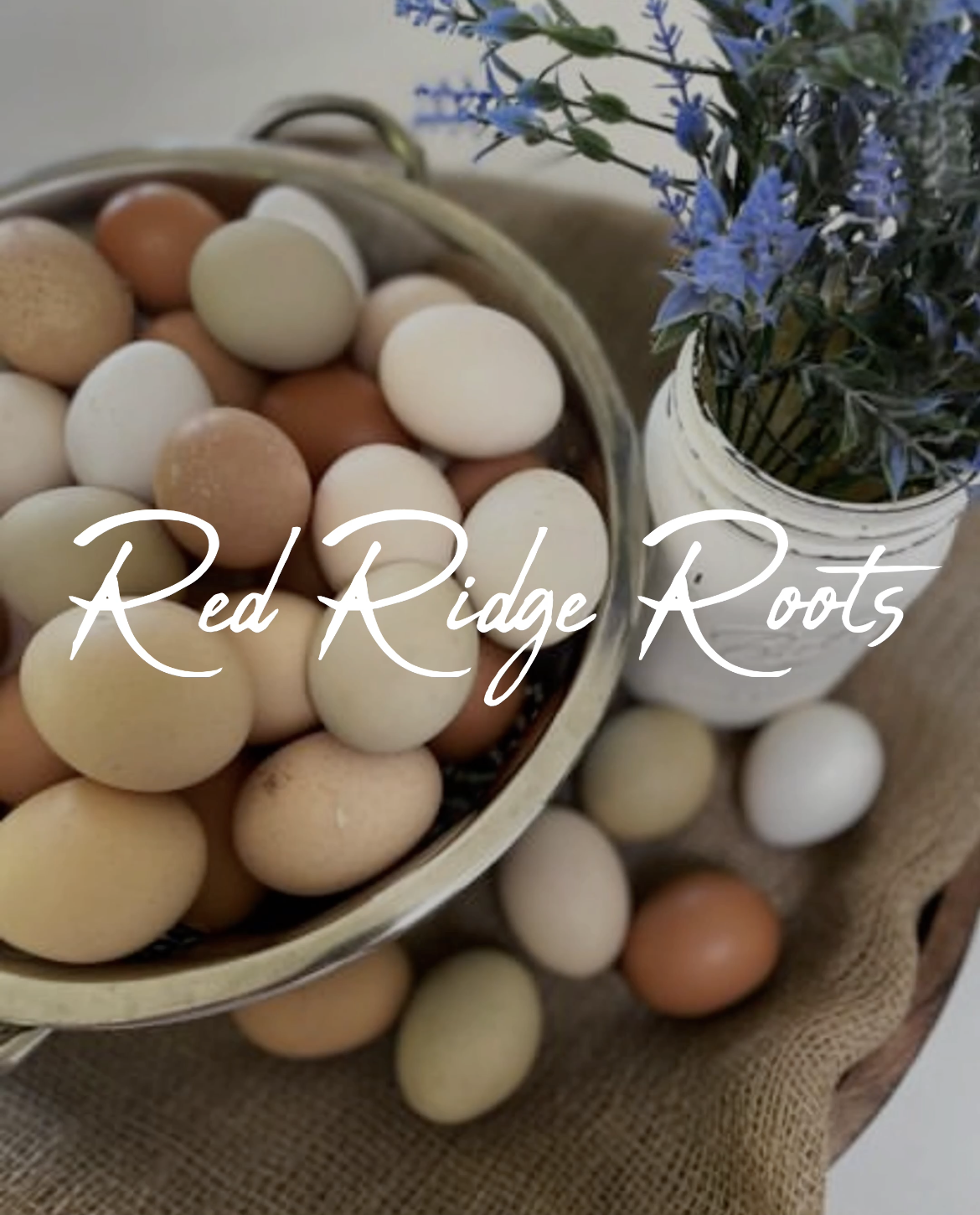 Red Ridge Roots